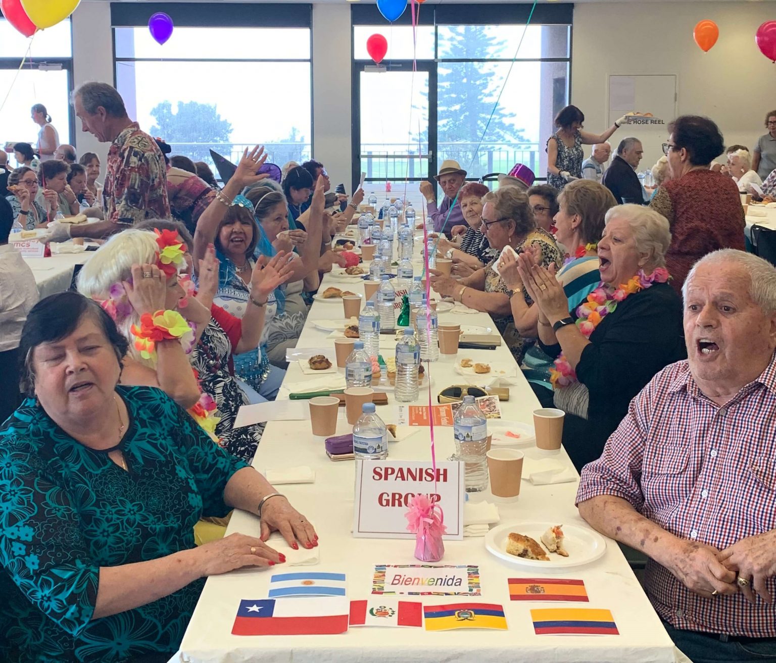 Sydney Multicultural Community Services